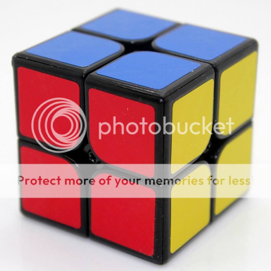 DaYan ZhanChi 2x2 Black Speed Cube 50mm 2x2x2 Magic Cube Twist Rubiks ...