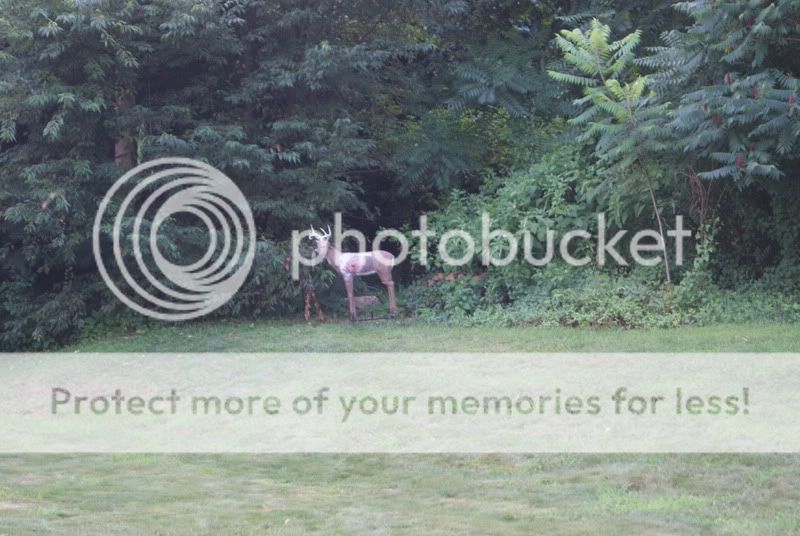 Firenock Challenge 2011 | Archery Talk Forum