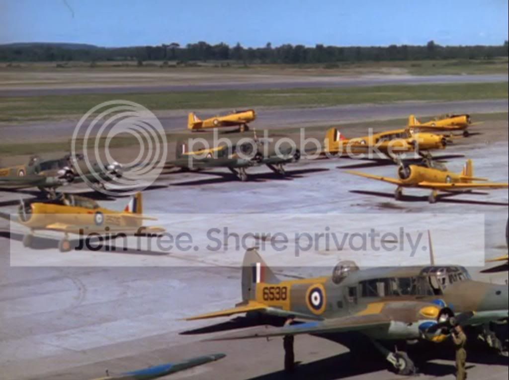 Canadian Harvard curious camo scheme - Aircraft WWII - Britmodeller.com