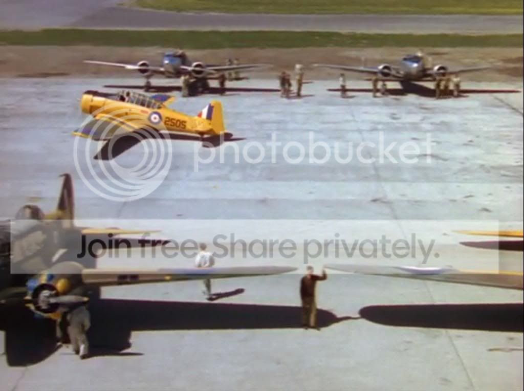 Canadian Harvard curious camo scheme - Aircraft WWII - Britmodeller.com