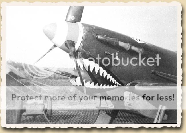 Sharkmouthed Spitfire MkVc - Aircraft WWII - Britmodeller.com